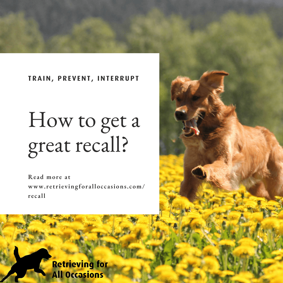 How to get a great recall? - Retrieving for All Occasions
